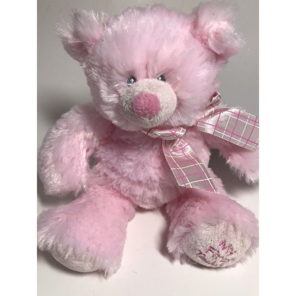 Baby Ganz | Toys | Baby Ganz Soft Pink Bear Small Plush My First Teddy ...